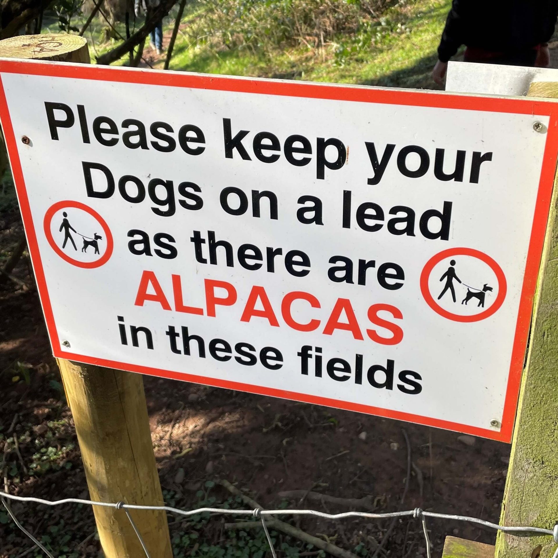 A Guide to Safety Signs & Symbols | ACT Associates